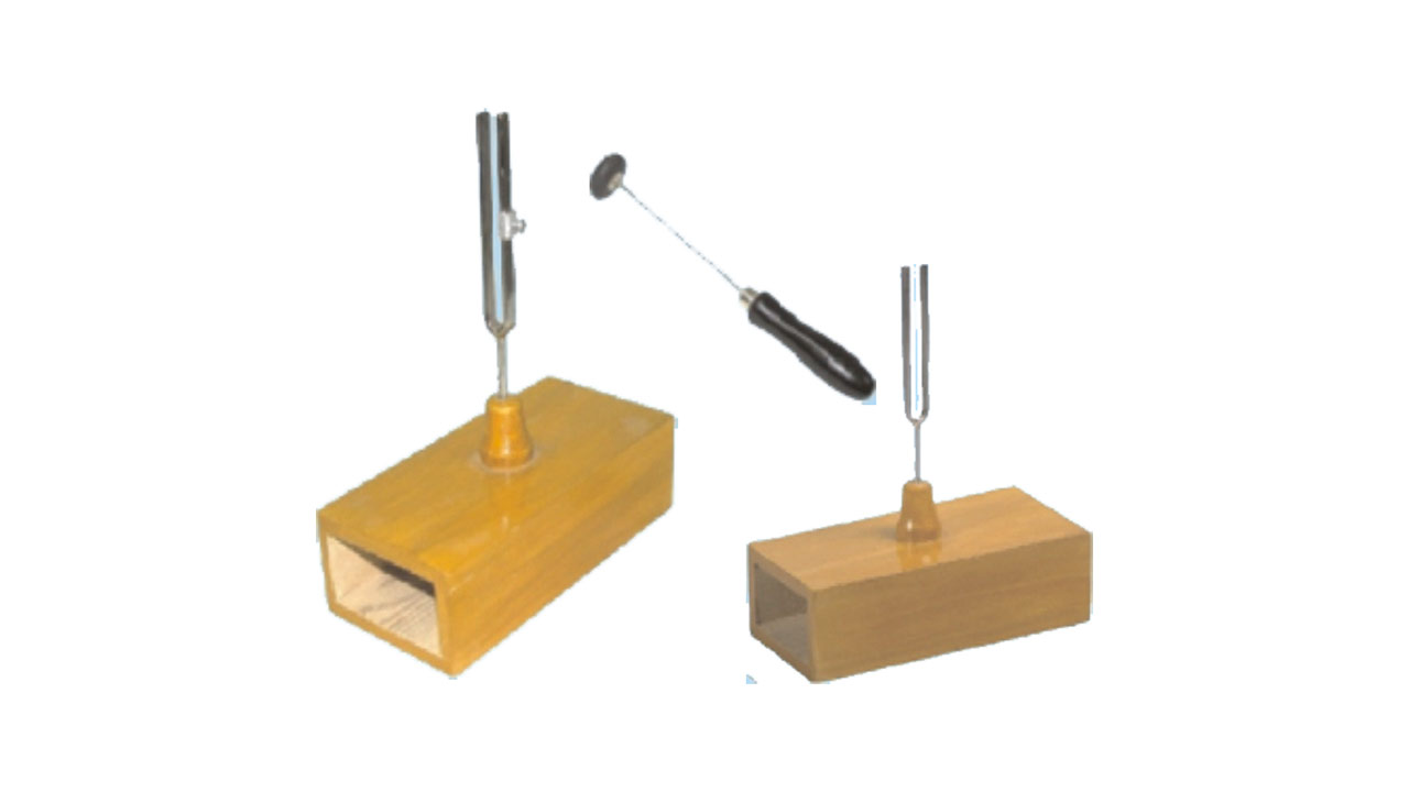 Pair of Tuning Fork - Education